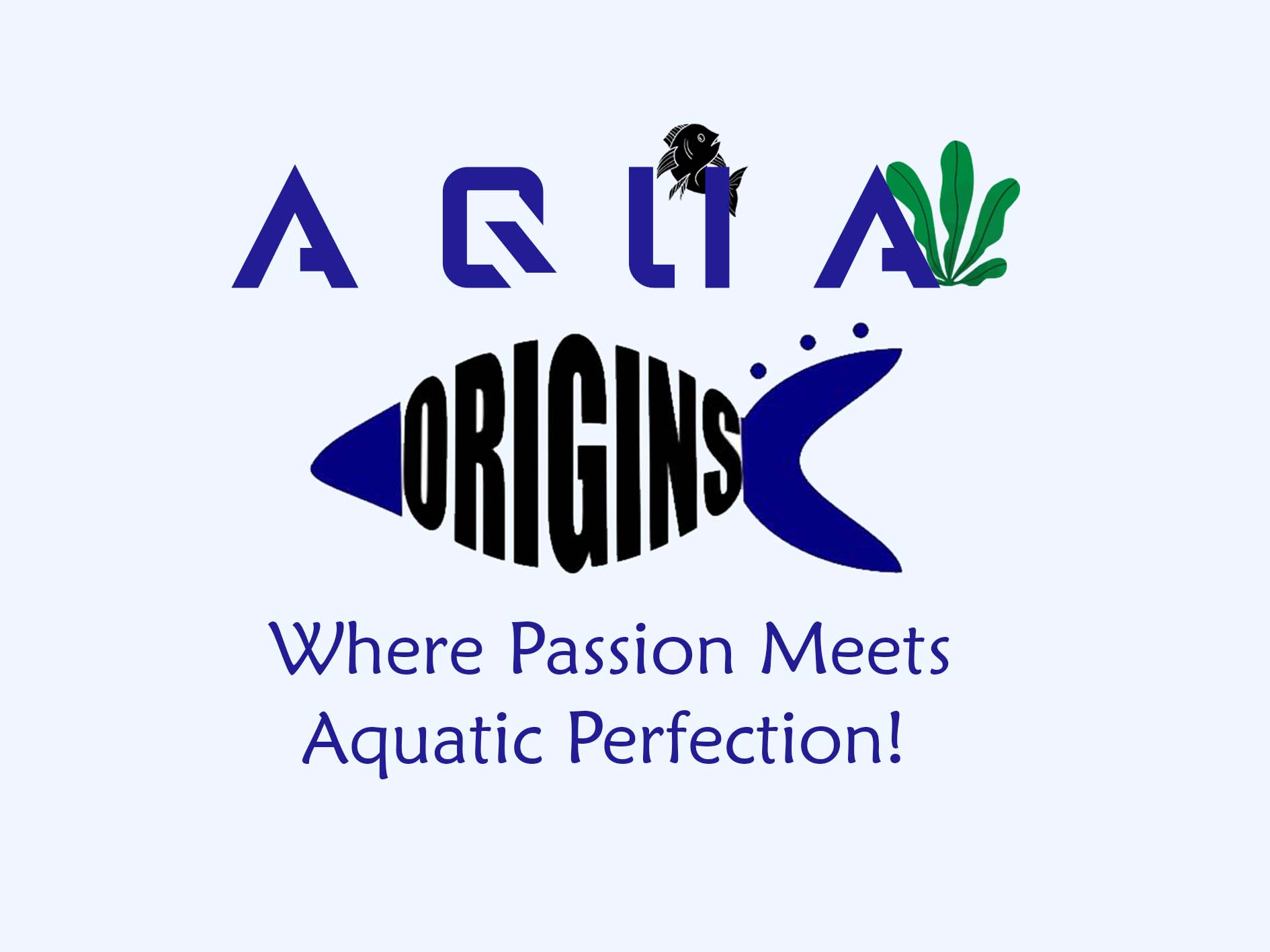 Aqua Origins